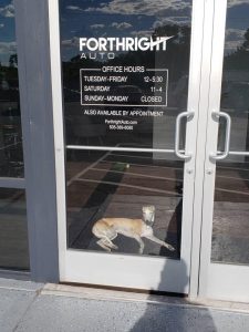 About Us - Forthright Auto