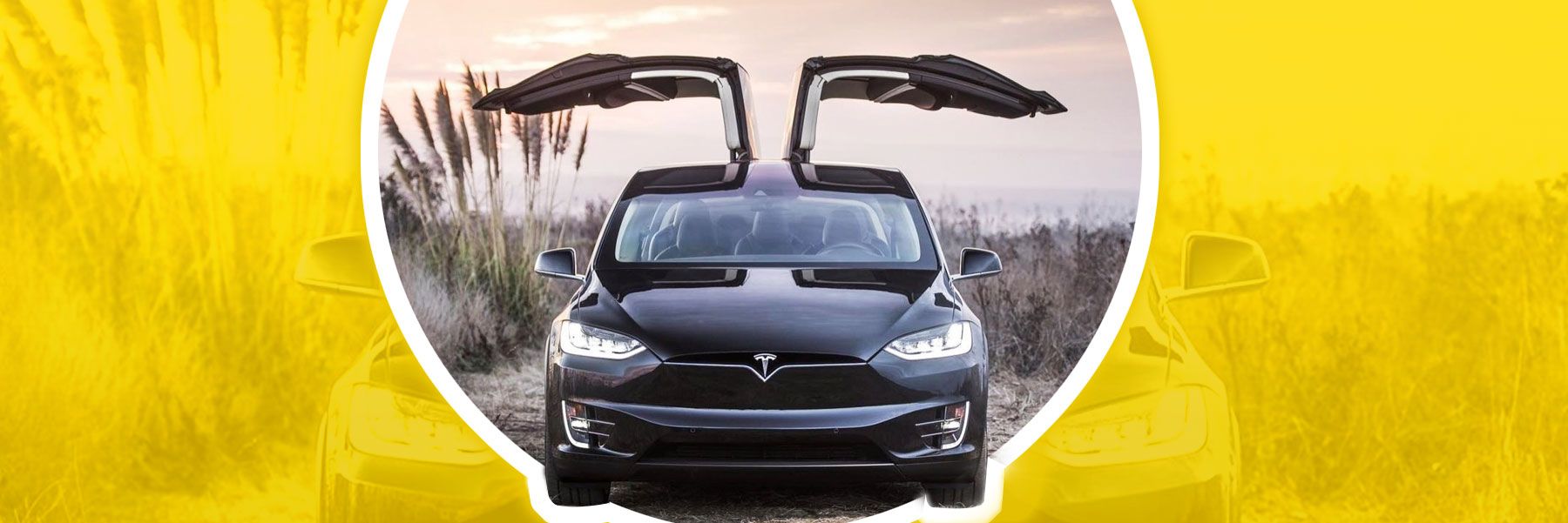 Home - Paz Auto Group Inc