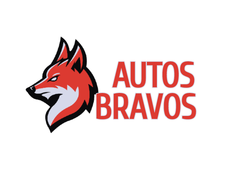 Contact Us - AUTOS BRAVOS LLC