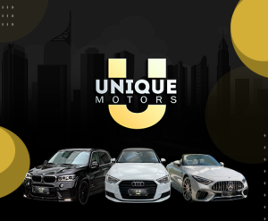 HOME - UNIQUE MOTORS GROUP USA INC