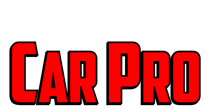 High Quality Car Inventory in Princeton, NC | CarPro LLC
