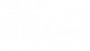 High Quality Car Inventory in Roswell, GA | BMI Auto LLC