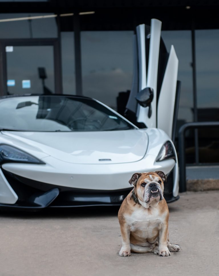 About TX Auto Group Used Car Dealer in Houston, Texas