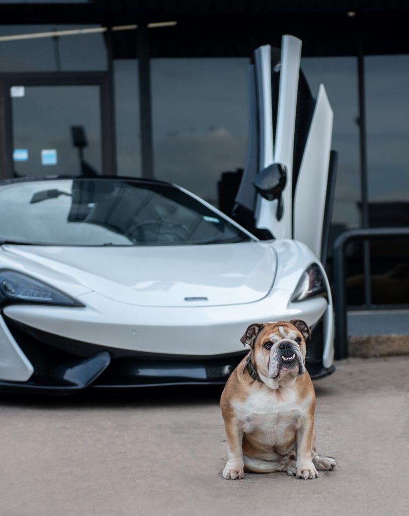 About TX Auto Group Used Car Dealer in Houston, Texas