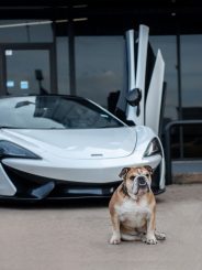 Used Car Dealership In Houston, TX | TX Auto Group