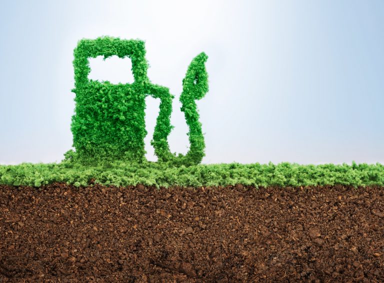 Diesel v. Gas Trucks: Here are the Benefits of Each Engine