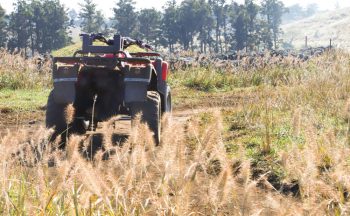 What is the Best Utility Vehicle for a Small Farm?