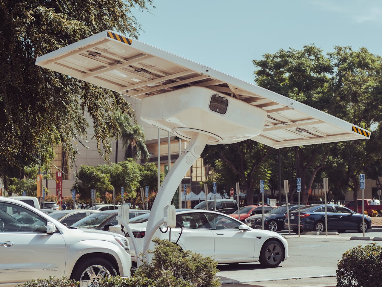 Honda vs. Toyota: What 2026 Hybrid and EV Plans Mean - CarZing Blog